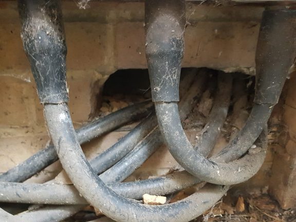 Rodent Entry Points • Rat Control • Mouse Control • Pest-Tech