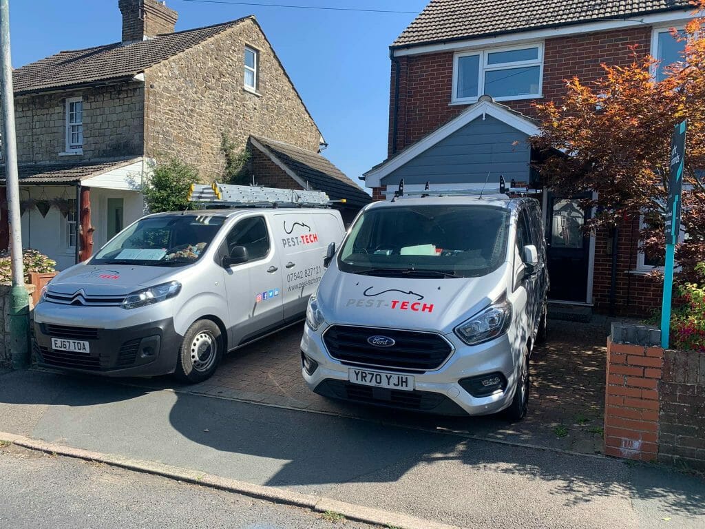 Pest Control Canterbury • 100% Guarantee • Pest-Tech